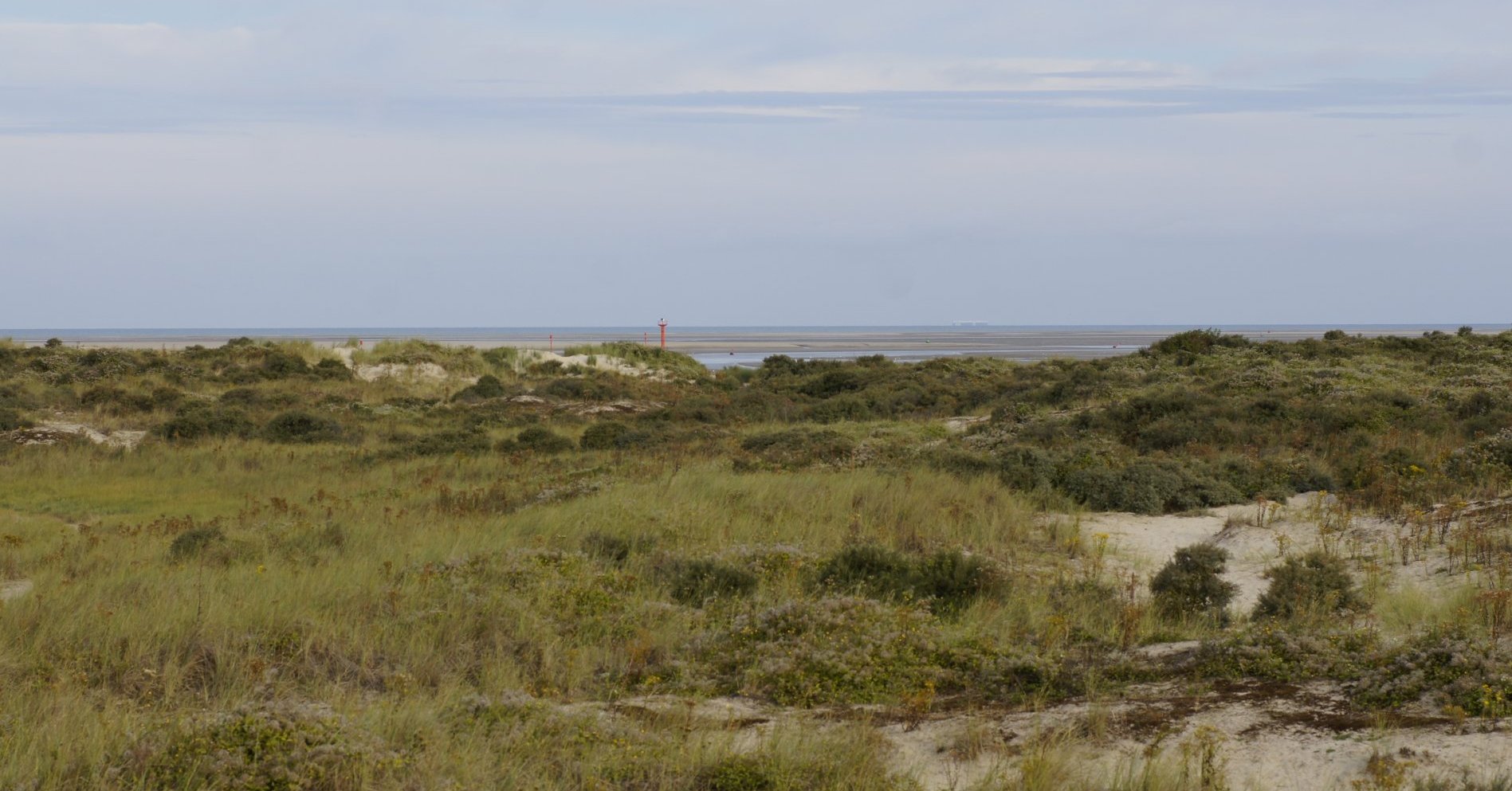 Baie de Canche - Les Taxinomes