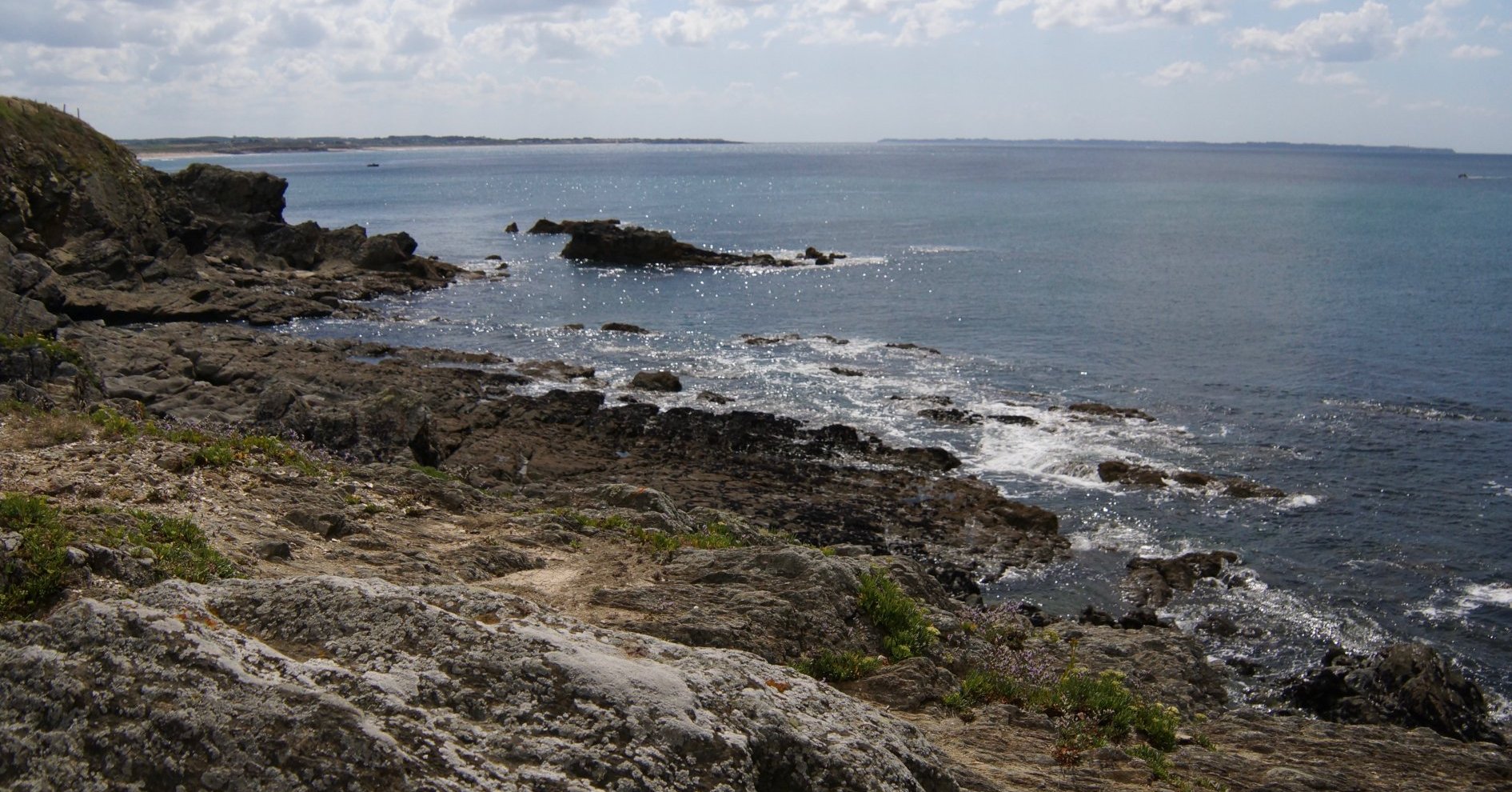 Côte rocheuse au Pouldu - Les Taxinomes