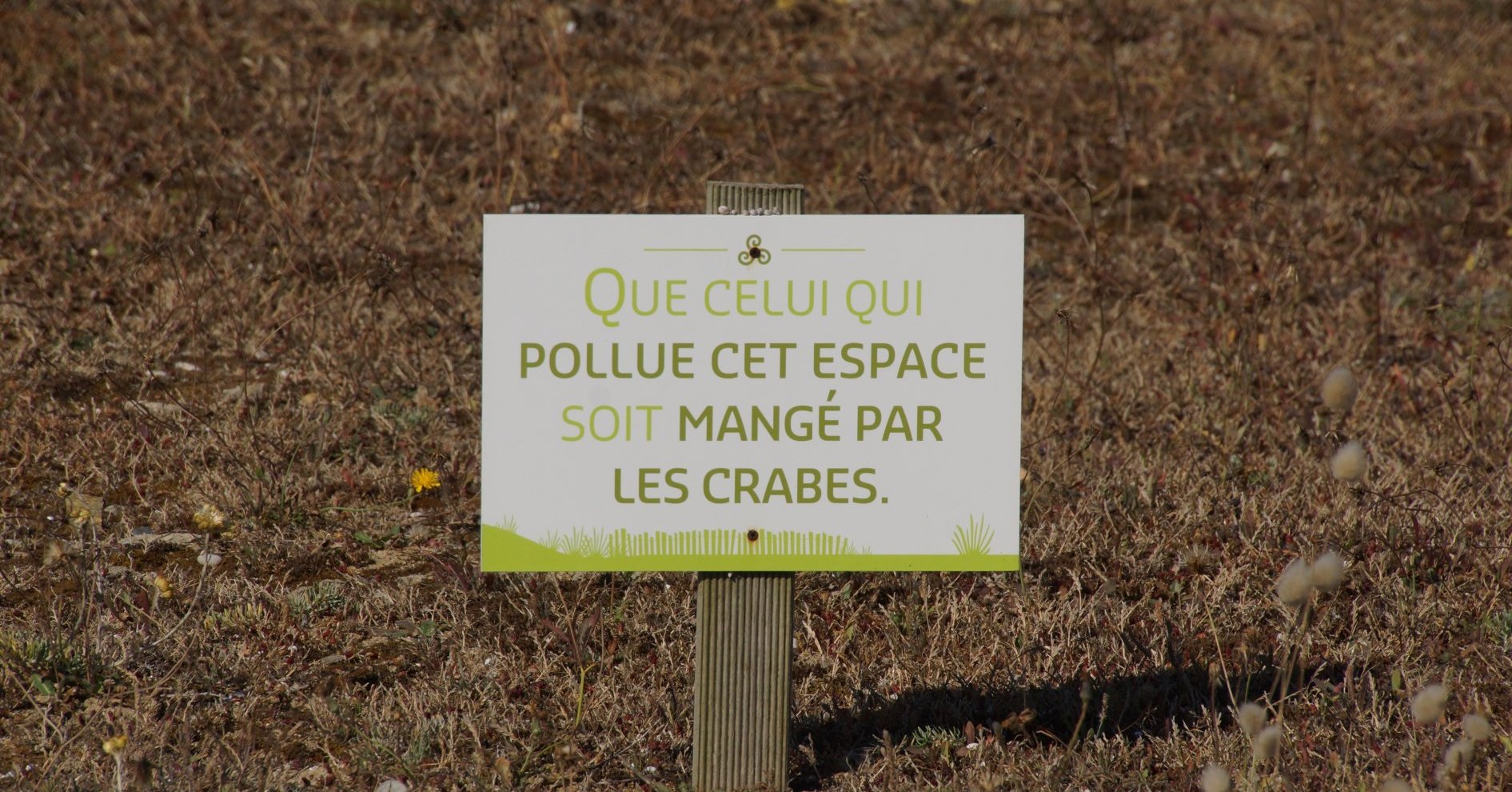 J aime Beaucoup Les Taxinomes j-aime-beaucoup-les-taxinomes